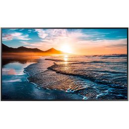 Samsung QH75B Smart Signage Display 189cm 75 Zoll