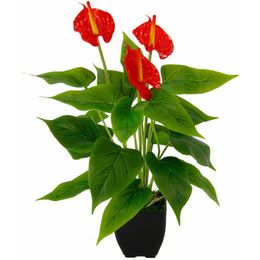 Kunstblume Anthuriumpflanze, I.GE.A., Höhe 42 cm, Anthurien Pflanze im Topf Anthurieexotisch Flamingopflanze, rot