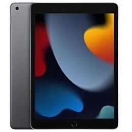 Apple iPad iPad 25,9 cm (10,2") 256 GB Space Grey MK2N3FD/A