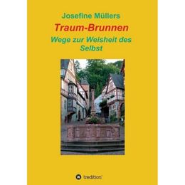 tredition Traum-Brunnen - Wege zur Weisheit des Selbst - Josefine Müllers, Kartoniert (TB)