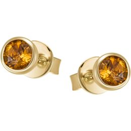 Firetti Paar Ohrstecker Schmuck Geschenk Gold 375 Gold 585 Ohrschmuck Ohrringe Solitär, mit unterschiedlichen Edelsteinen, gelb