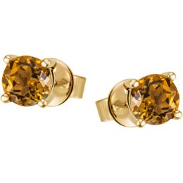 Firetti Paar Ohrstecker Schmuck Geschenk Gold 375 Gold 585 Ohrschmuck Ohrringe Solitär, mit unterschiedlichen Edelsteinen, gelb