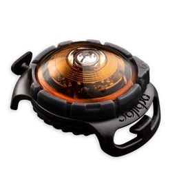 Orbiloc Dog Dual Safety Light Hundelicht, amber (Bernstein)