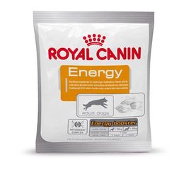 Royal Canin Energy für Hunde, 50 g