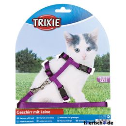 Trixie Katzengeschirr mit Leine für Kitten, Geschirr: 19-31cm / 8 mm, Leine, 1,20 m