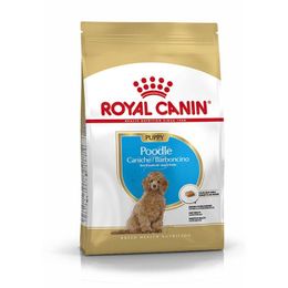 Royal Canin Poodle Puppy Welpenfutter für Pudel, 3 kg