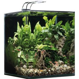 Dennerle NanoCube Aquarium, 30 Liter