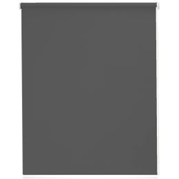 Seitenzugrollo SUNLINES "Young Style Blackout" Rollos Gr. 180 cm, stufenlos positionierbar, Bedienseite rechts, 142 cm, grau (anthrazit, weiß) Verdunkelungsrollos