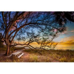 papermoon Fototapete "BAUM AM STRAND-MEER OZEAN BLUMEN SONNE WIESE FLORIDA" Tapeten Gr. B/L: 4,50 m x 2,80 m, Bahnen: 9 St., bunt Fototapeten