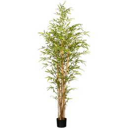 Kunstbaum Creativ green "Bambus" Kunstpflanzen Gr. H: 180 cm, 1 St., grün Kunst-Bäume
