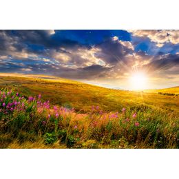 papermoon Fototapete "Wild Flowers Mountain Sunset" Tapeten Gr. B/L: 5 m x 2,8 m, Bahnen: 10 St., bunt (mehrfarbig) Fototapeten