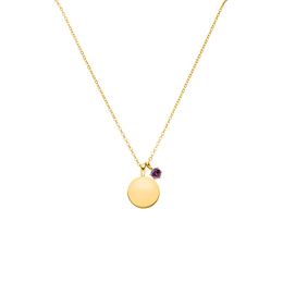 Paul Valentine Birthstone February Necklace 14K Gold Plated