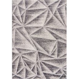 Sanat Teppich Evra 7004, rechteckig, Höhe: 22 mm, Wohnzimmer, Kurzflor, modern, grau, 80 cm x 150 cm x 22 mm
