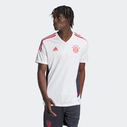 Adidas FC Bayern München Condivo 22 Trainingstrikot