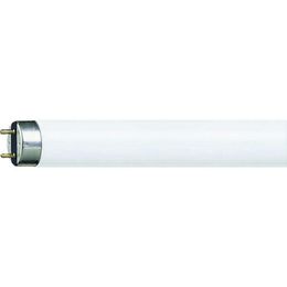 Philips - Leuchtstoffröhre eek: g (a - g) G13 18 w Tageslichtweiß Röhrenform (ø x l) 26 mm x 600 mm