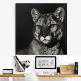 Bilderwelten Leinwandbild Tiere modern Kunstdruck schwarz - Puma vor Schwarz - Wandbild XXL Wohnzimmer Schlafzimmer