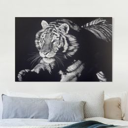 Bilderwelten Leinwandbild Tiere modern Kunstdruck schwarz weiss - Tiger im Sonnenlicht vor Schwarz - Tiger XXL Wohnzimmer Schlafzimmer