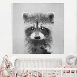 Leinwandbild Baby Waschbär Wicky Schwarz Weiß