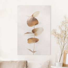 Bilderwelten Leinwandbild Goldener Eukalyptuszweig - Wandbild bis XXL Print Botanik Tropical Schlafzimmer Wohnzimmer