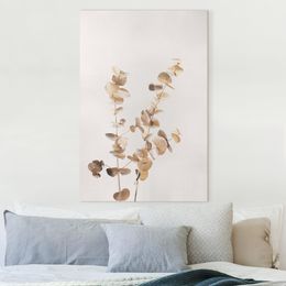 Bilderwelten Leinwandbild Goldene Eukalyptuszweige - Wandbild bis XXL Print Botanik Tropical Schlafzimmer Wohnzimmer