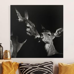 Bilderwelten Leinwandbild Tiere modern Kunstdruck schwarz - Rehe vor Schwarz - Wandbild XXL Wohnzimmer Schlafzimmer