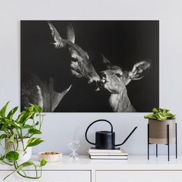 Bilderwelten Leinwandbild Tiere modern Kunstdruck schwarz - Rehe vor Schwarz - Wandbild XXL Wohnzimmer Schlafzimmer