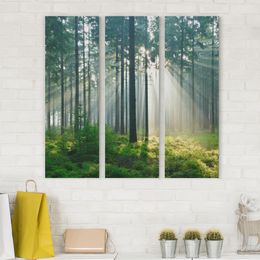 Bilderwelten Leinwandbild Wald Motiv Kunstdruck grün - Enlightened Forest - Bäume XXL Wohnzimmer Schlafzimmer