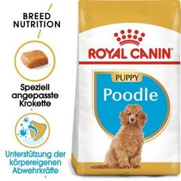 Royal Canin Poodle Puppy 3kg