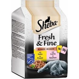 Sheba Multipack Fresh & Fine in Sauce 36x50g Huhn & Lachs