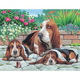 MAMMUT Spiel und Geschenk Malvorlage Bassethunde