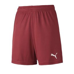 Puma Sporthose teamGOAL 23 Knit Short Kids