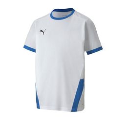 Puma Fußballtrikot teamGOAL 23 Trikot kurzarm Kids