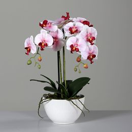 SONSTIGE Kunstblume Orchidee (H 48 cm)