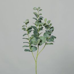 SONSTIGE Kunstpflanze EUKALYPTUSZWEIG (H 92 cm)