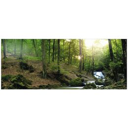 Wallario Acrylglasbild, Fließender Bach im Wald bei Sonnenuntergang