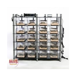 M&S Reptilien Terrarium M&S Rack System JUNIOR "Plug & Play"