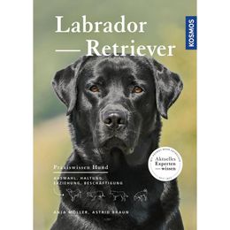 Labrador Retriever - Astrid Braun, Anja Möller, Gebunden
