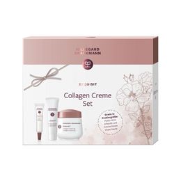 Hildegard Braukmann Exquisit Collagen Creme Set 3 Artikel im Set