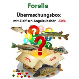 DAM Fishing Kunstköder Überraschungsbox versch. Zielfische -50% Angeln Fried-Raubfische Meer