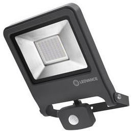 LEDVANCE LED Außenleuchte Endura Flood Sensor Warm White dunkelgrau