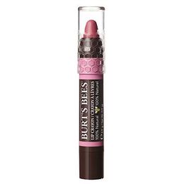 Burt´s Bees Burt's Bees Lippenfarbe Lip Crayon 3,11 g Carolina Coast