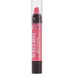 Burt´s Bees Burt's Bees Lippenfarbe Gloss Lip Crayon 3,11 g Pink Lagoon