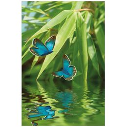 Wallario Acrylglasbild, Schmetterlinge in Reflektion