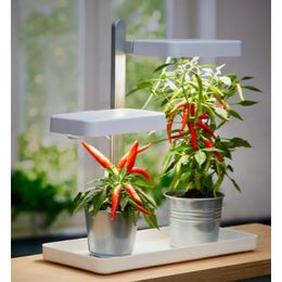 LED-Pflanzenlampe mit zwei Strahlern 1.850 Lumen 30 W – Energieeffizienzklasse G