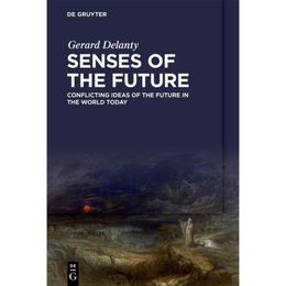 De Gruyter Senses of the Future - Gerard Delanty, Kartoniert (TB)