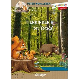 Oetinger Tierkinder im Wald - Peter Wohlleben, Gebunden