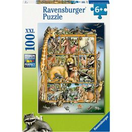 Ravensburger Puzzle Tiere im Regal, 100 Puzzleteile, Made in Germany, bunt