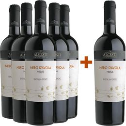 Alcesti 2021 5+1 Paket Nesos Nero D'Avola Sicilia DOC