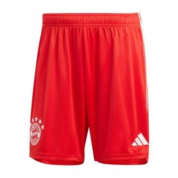 adidas originals Shorts FC Bayern (1-tlg)
