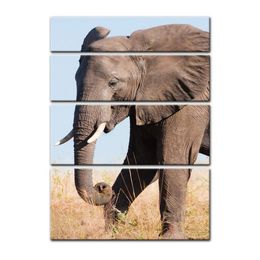 Bilderdepot24 Leinwandbild Elefant II